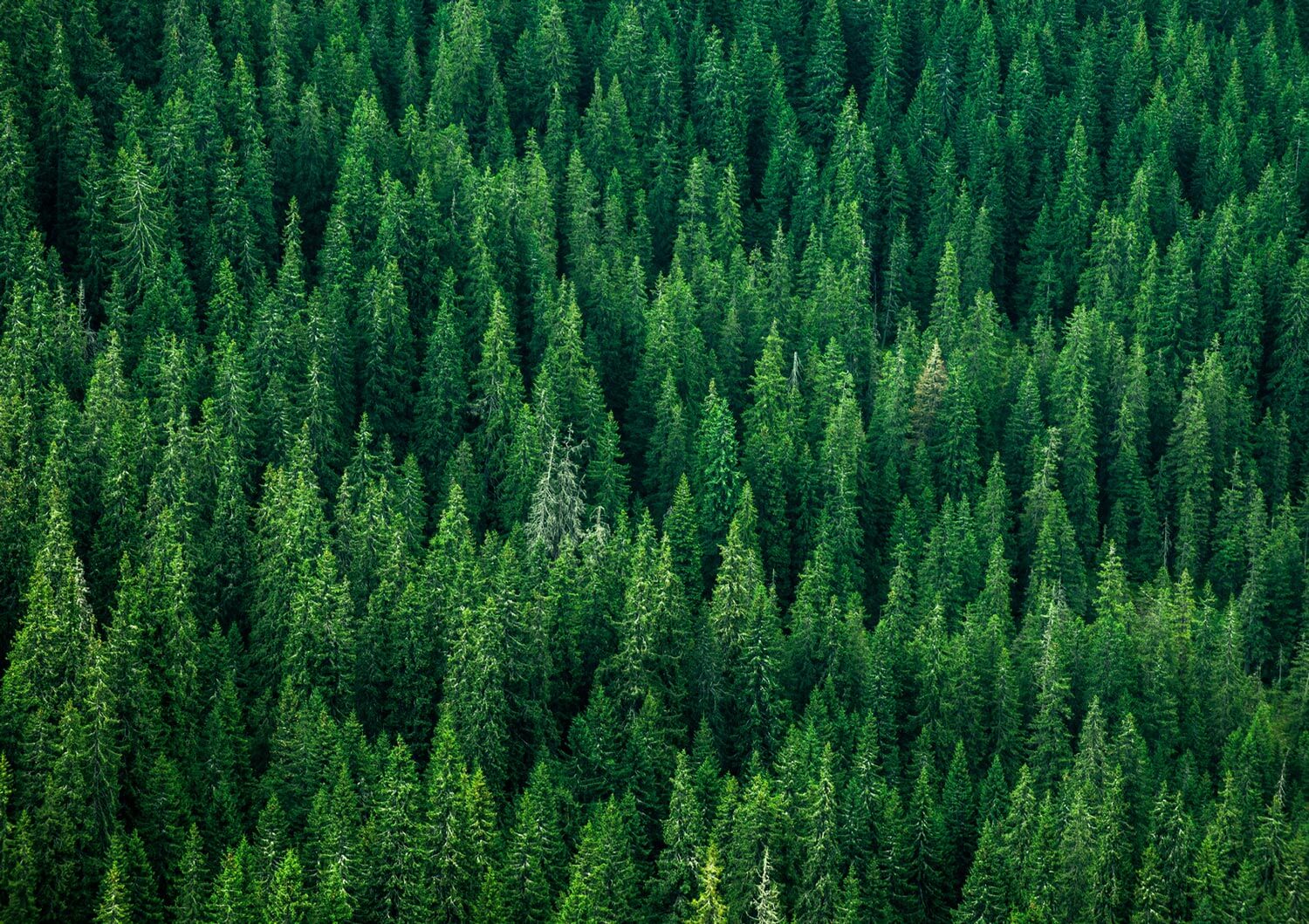 CFTC withdrawal of carbon market guidance will weaken market integrity ...