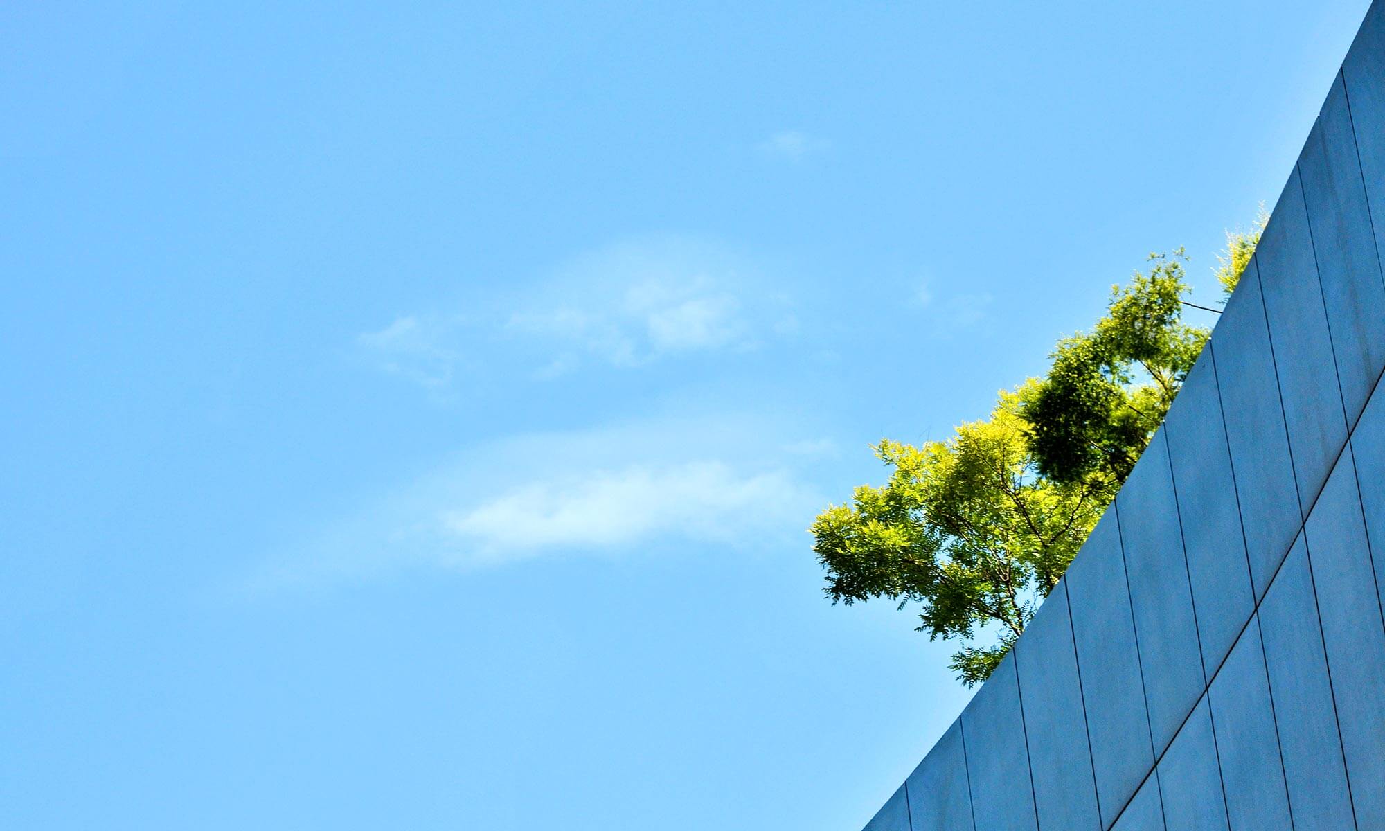 Workplace Giving – Clean Air Task Force