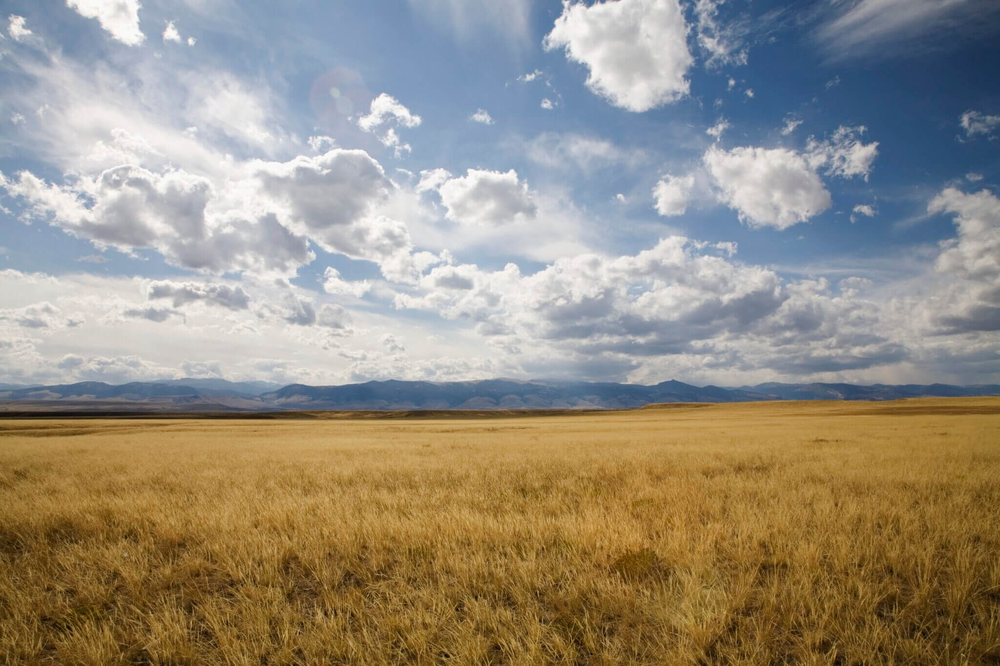 How BLM’s repeal of the Public Lands Rule could slow clean energy ...