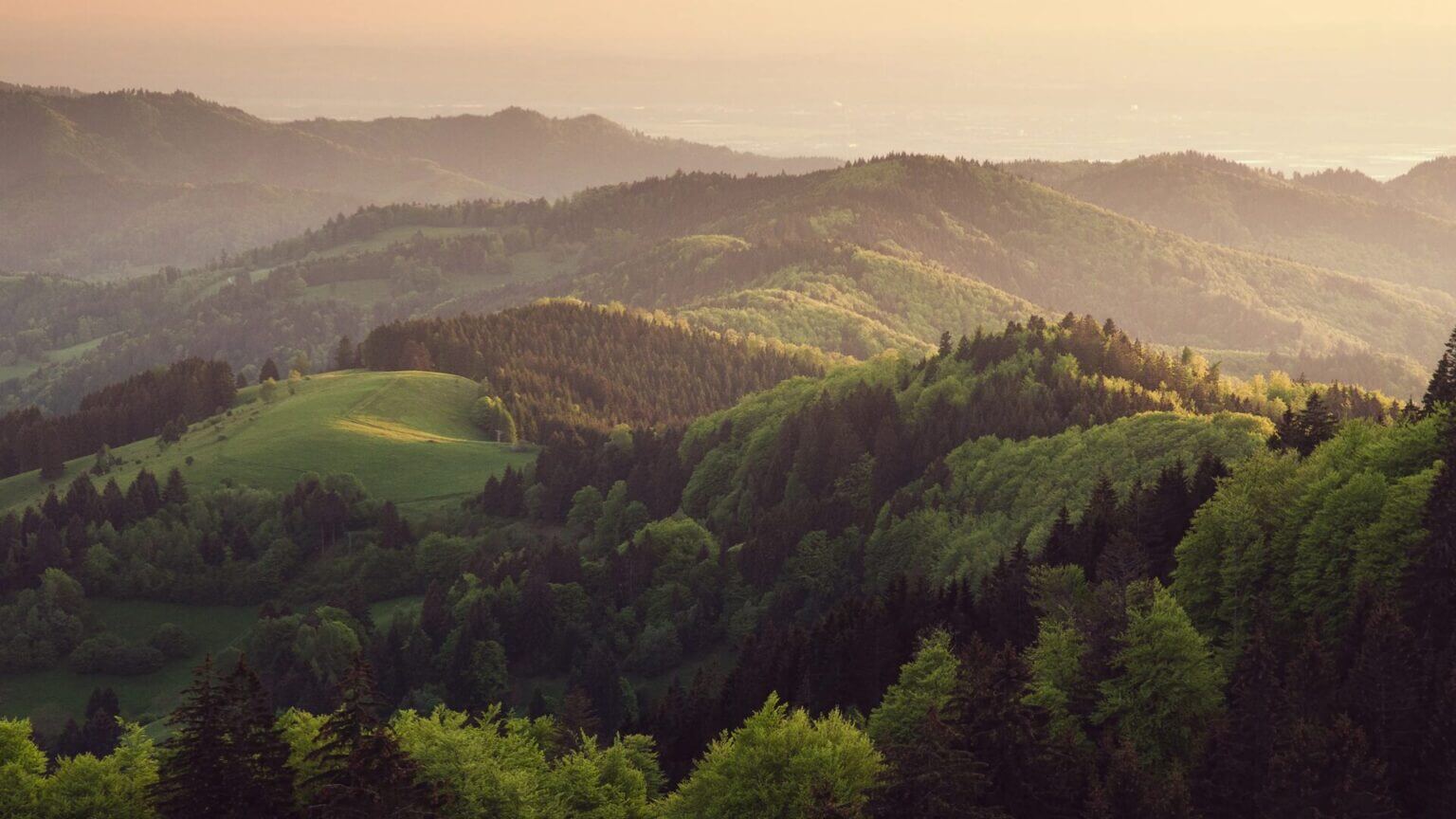 Clean Air Task Force – Catalyzing solutions to meet the climate challenge