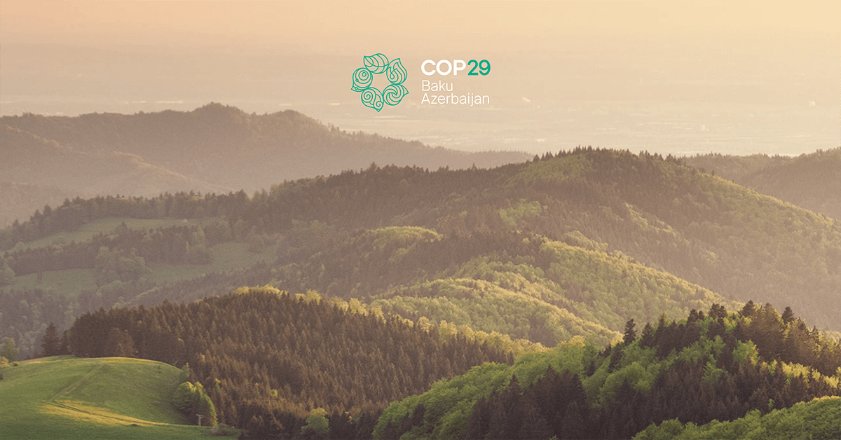 Article 6 can make or break carbon markets at COP29. Here's all you need to know. – Clean Air ...