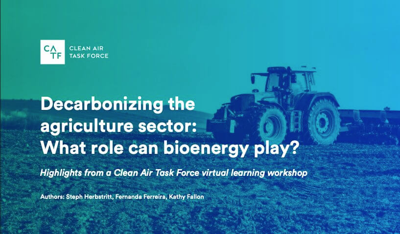 Decarbonizing the agriculture sector: What role can bioenergy play ...