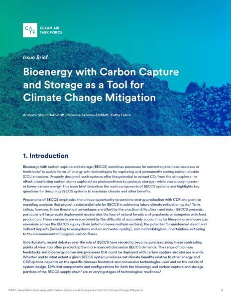 Bioenergy with Carbon Capture and Storage as a Tool for Climate Change ...