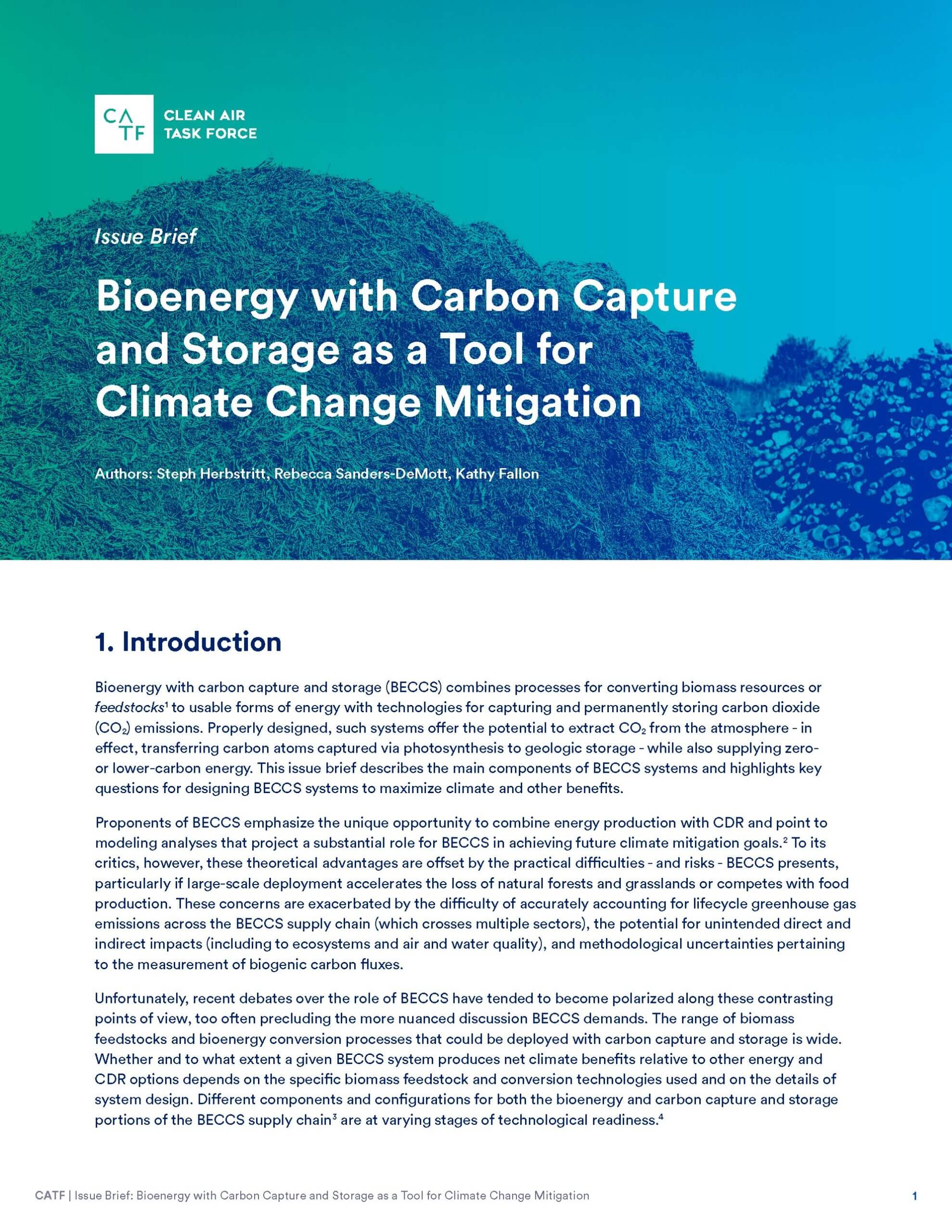 Bioenergy with Carbon Capture and Storage as a Tool for Climate Change ...