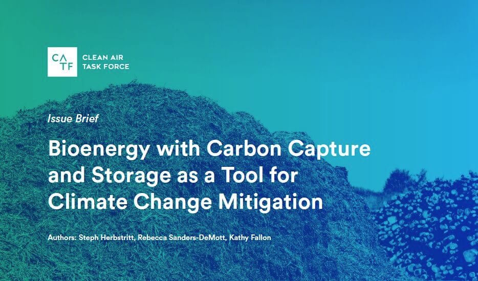 Bioenergy with Carbon Capture and Storage as a Tool for Climate Change ...